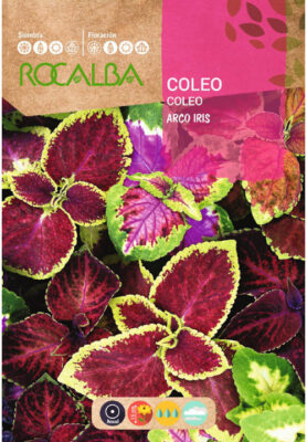 Semillas de Coleus Arco Iris (0.5 grs) Rocalba – Semillería San Alfonso