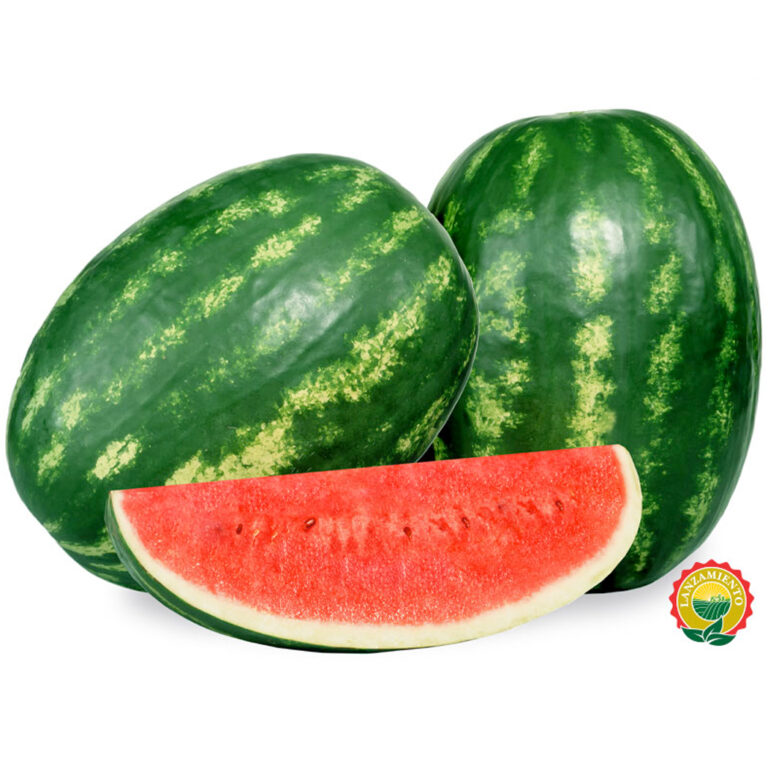 Semillas de Sandia Delicia F1 (1000 sem) – Semillería San Alfonso