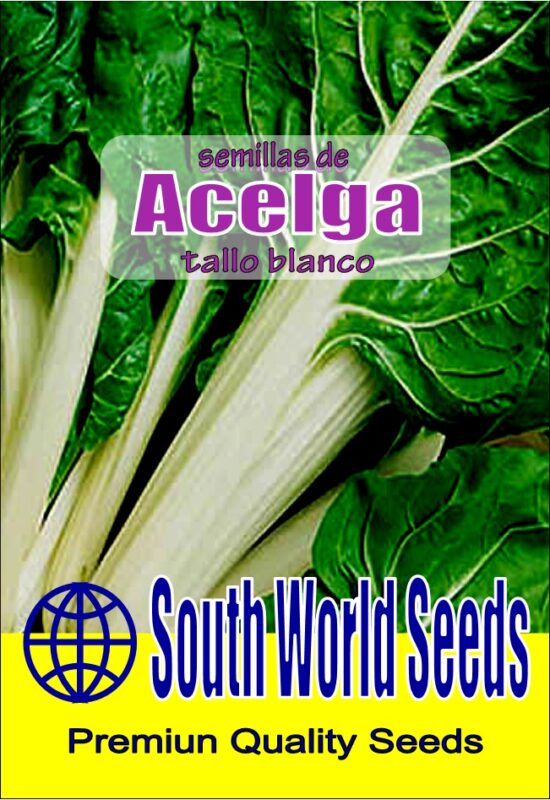 Semillas de Acelga Tallo Blanco (5 gr) – Semillería San Alfonso