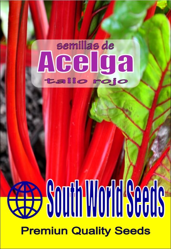 Semillas de Acelga Tallo Rojo (5 gr) – Semillería San Alfonso