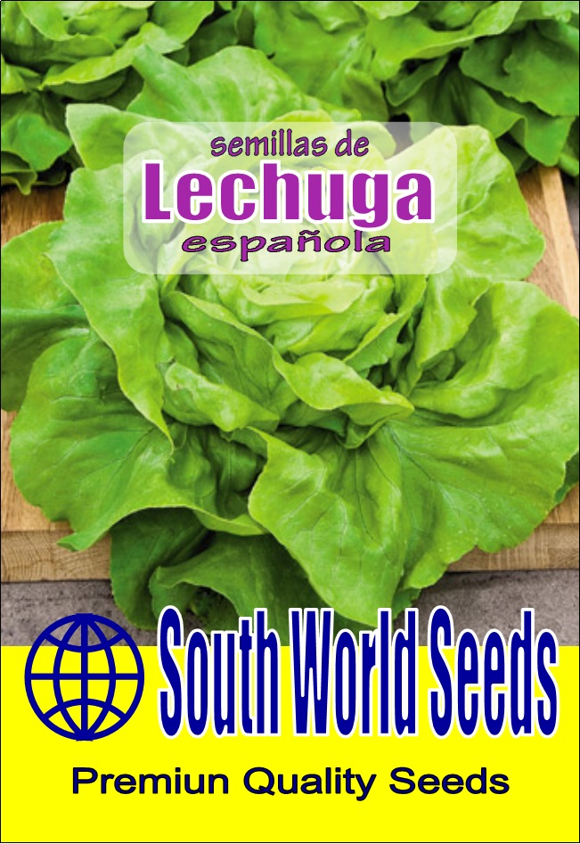 Semillas de Lechuga Española ( 5 gr) – Semillería San Alfonso