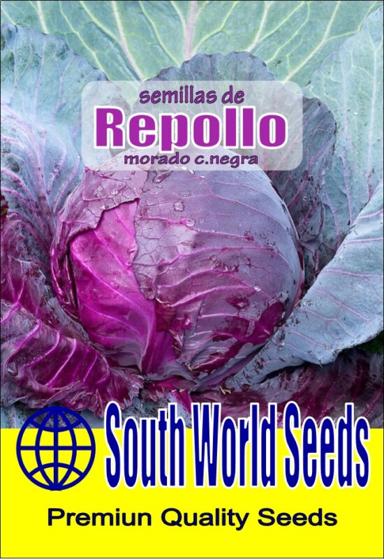 Semillas de Repollo Morado (5 gr) – Semillería San Alfonso
