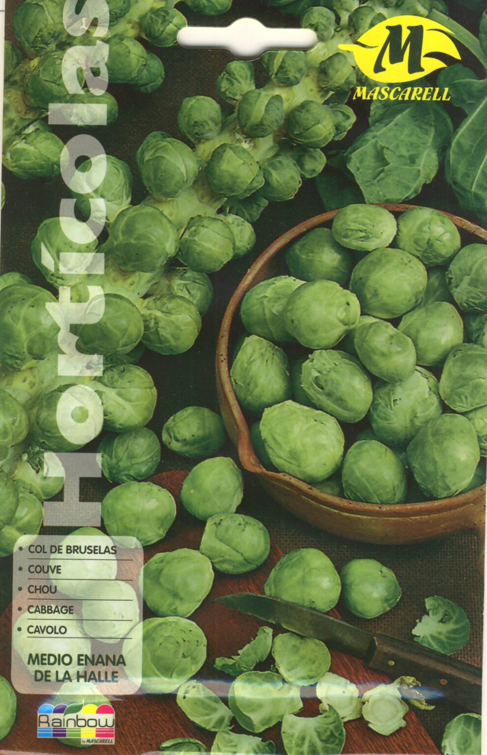 Repollito Bruselas – Semillería San Alfonso