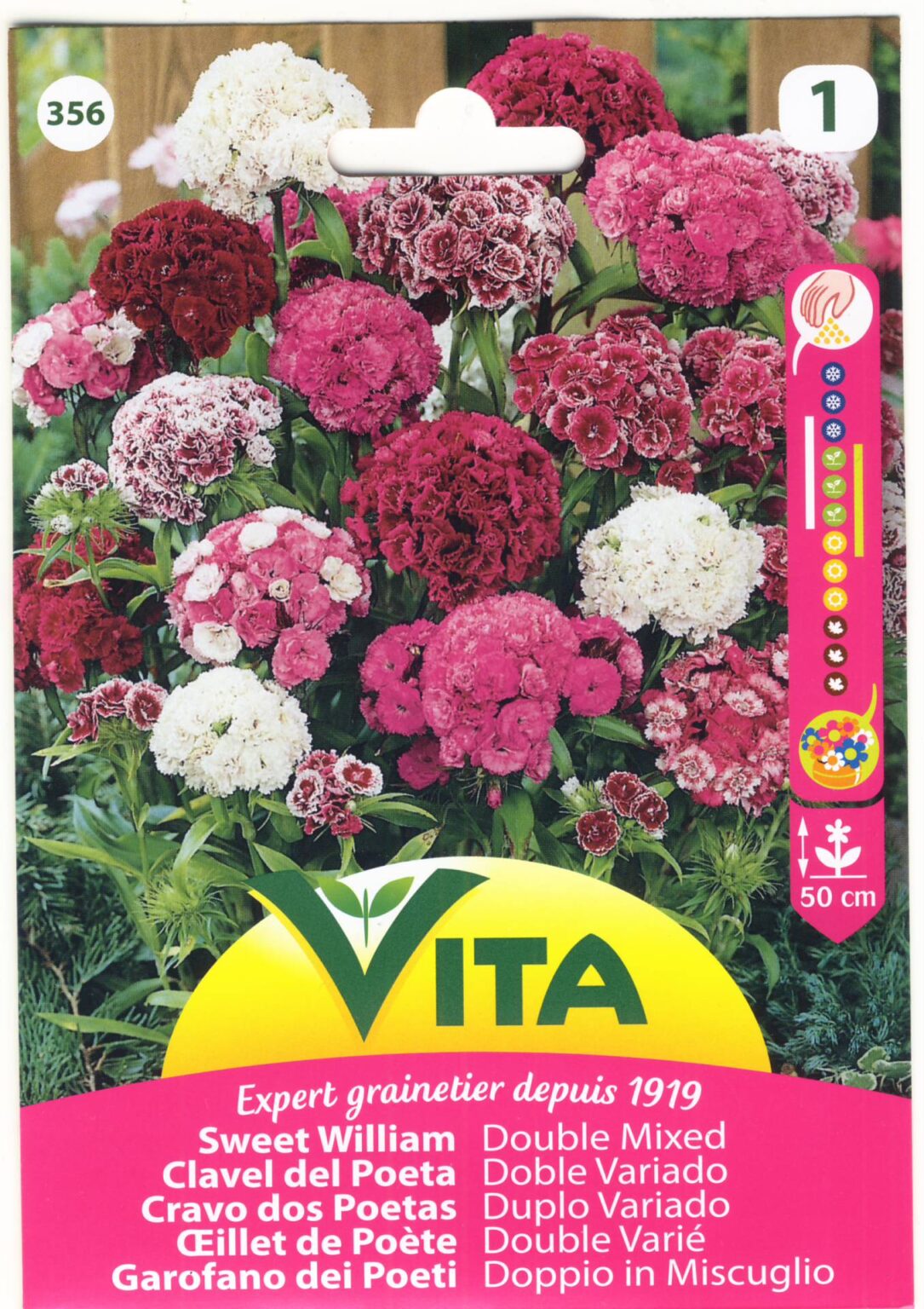 Semillas de Clavel del Poeta (1.2 g) – Semillería San Alfonso