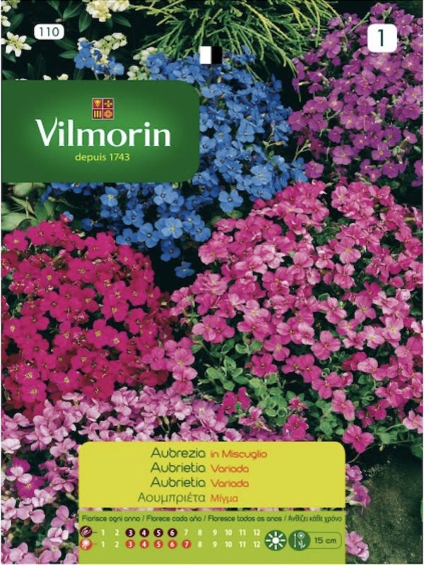 Semilla Aubrezia Variada (0,3g) Vilmorin – Semillería San Alfonso